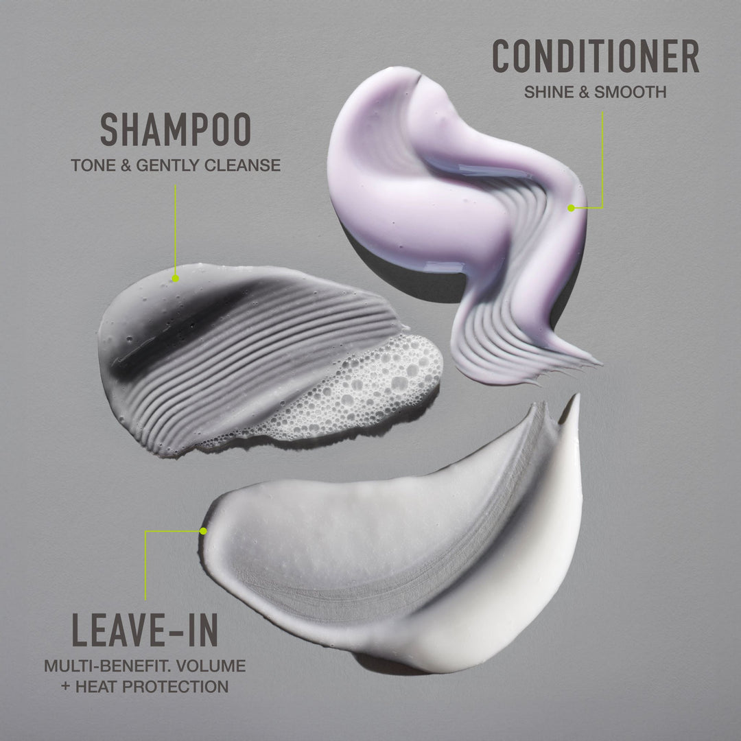 Silver Crown 3-Step System: Shampoo, Conditioner & Leave-In – Silverist