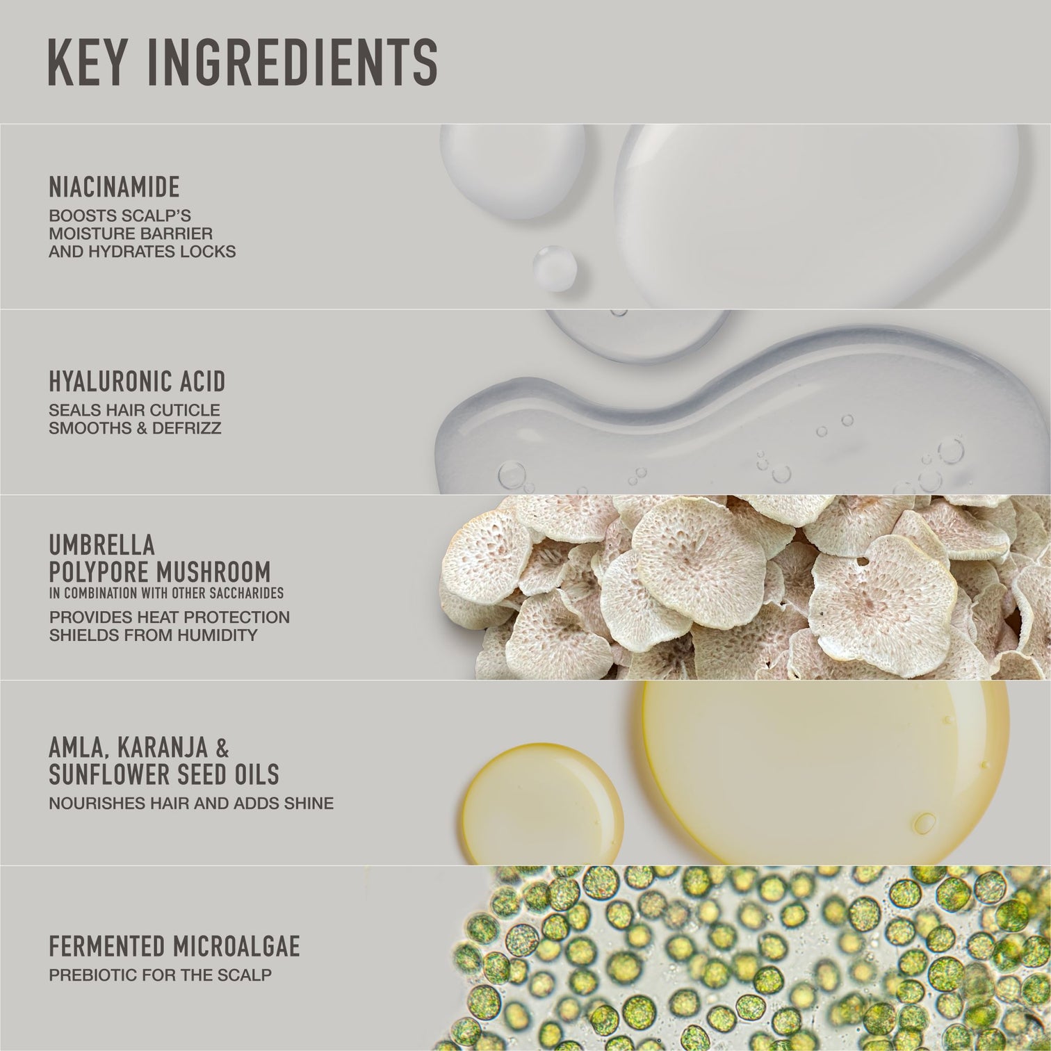 3-Step System: Shampoo, Conditioner & Leave-In – Silverist