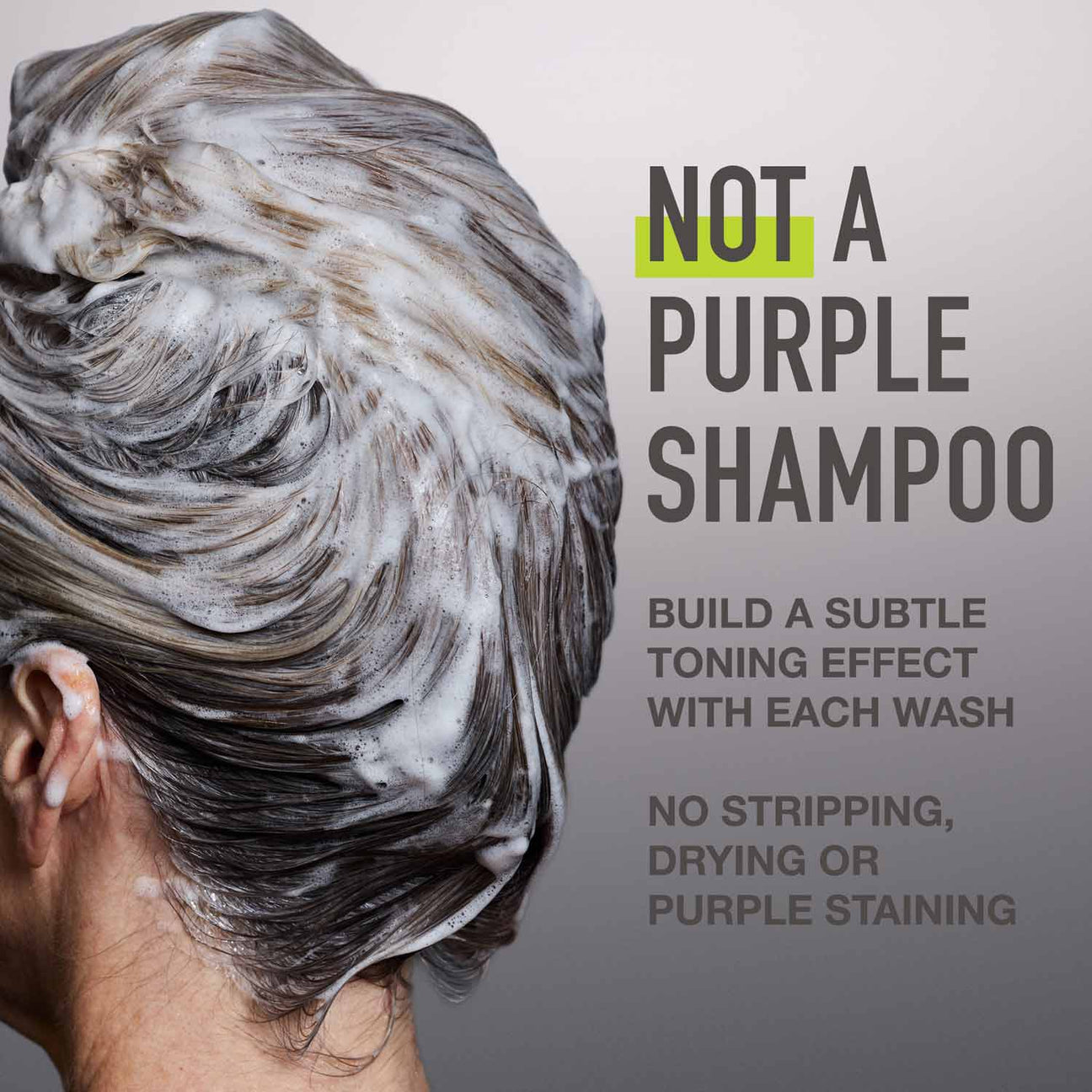 Lustrous Rituals Buildable Tone Shampoo. A Purple Shampoo Alternative ...