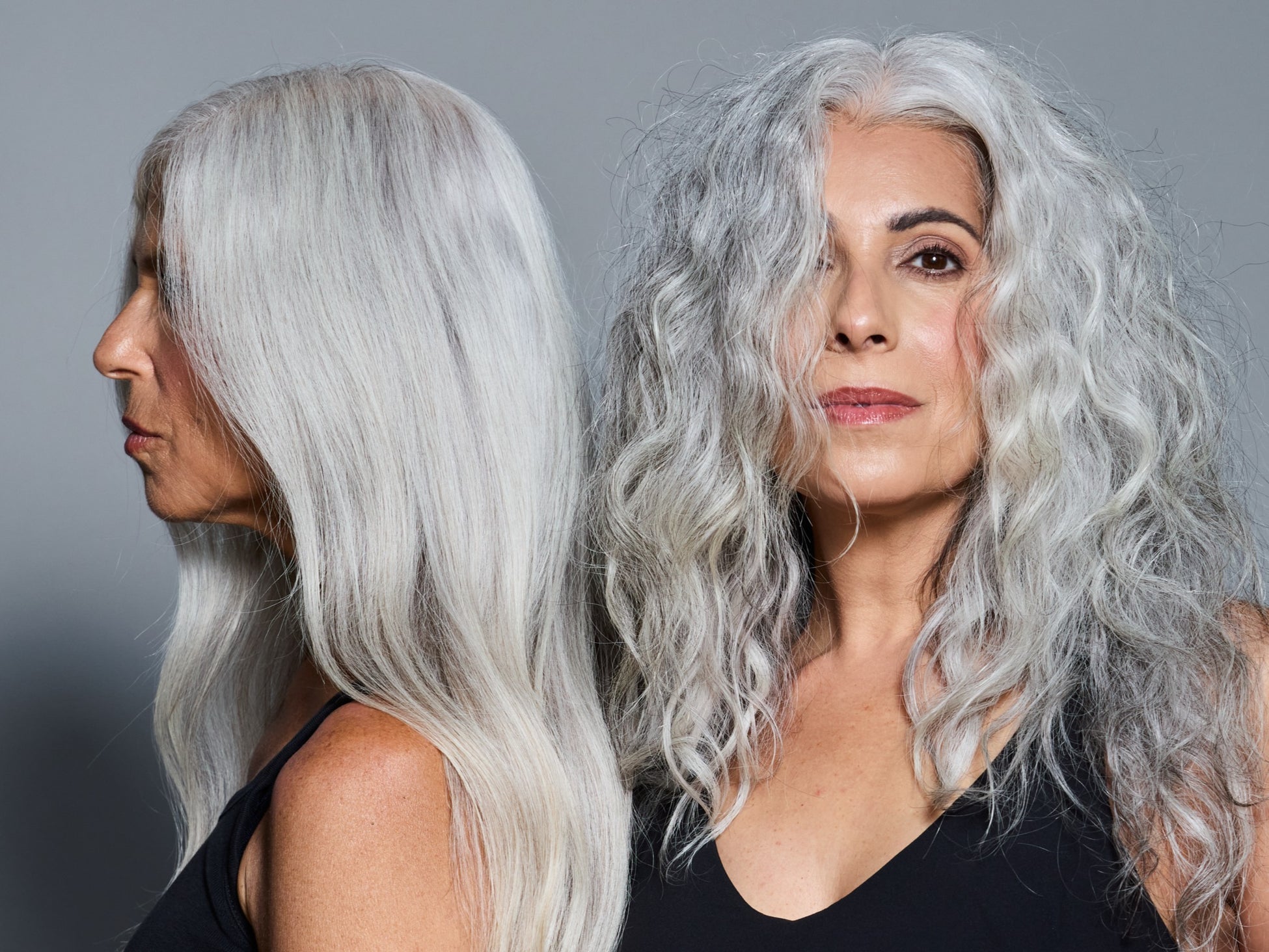 Camille Land's Dye Strip Technique Gray Hair Grow-out – Silverist