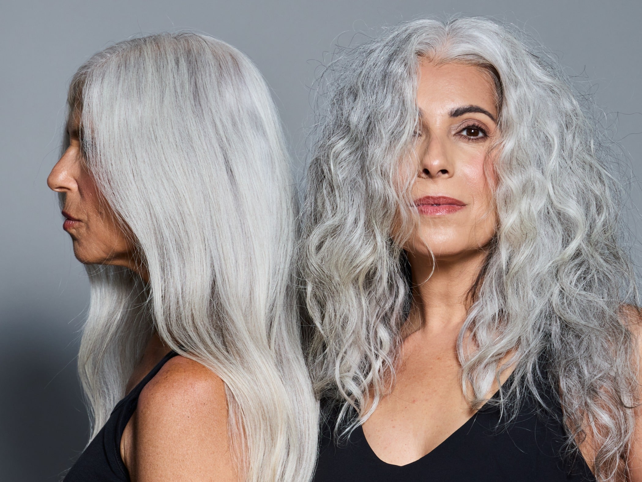 Camille Land's Dye Strip Technique Gray Hair Grow-out – Silverist
